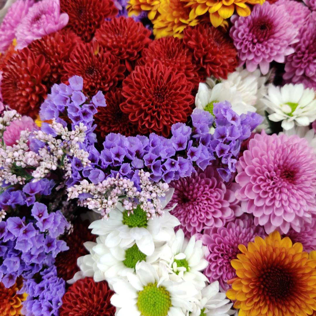 Community Supported Agriculture (CSA) Subscription – Image By Design ...